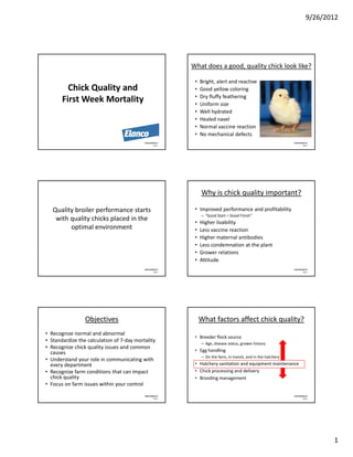 Chick quality and firstweek mortality | PDF