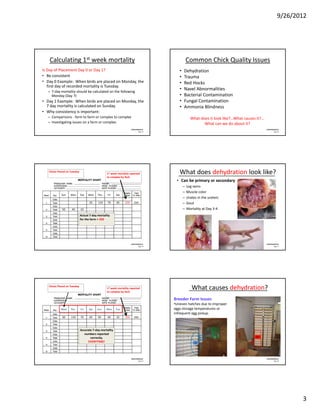 Chick quality and firstweek mortality | PDF