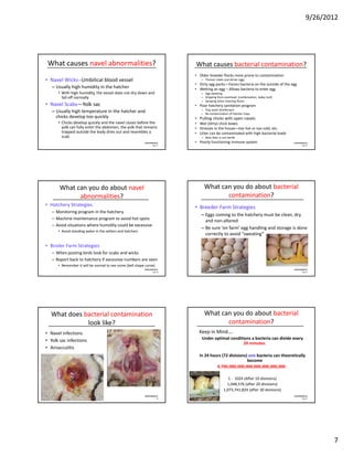 Chick quality and firstweek mortality | PDF