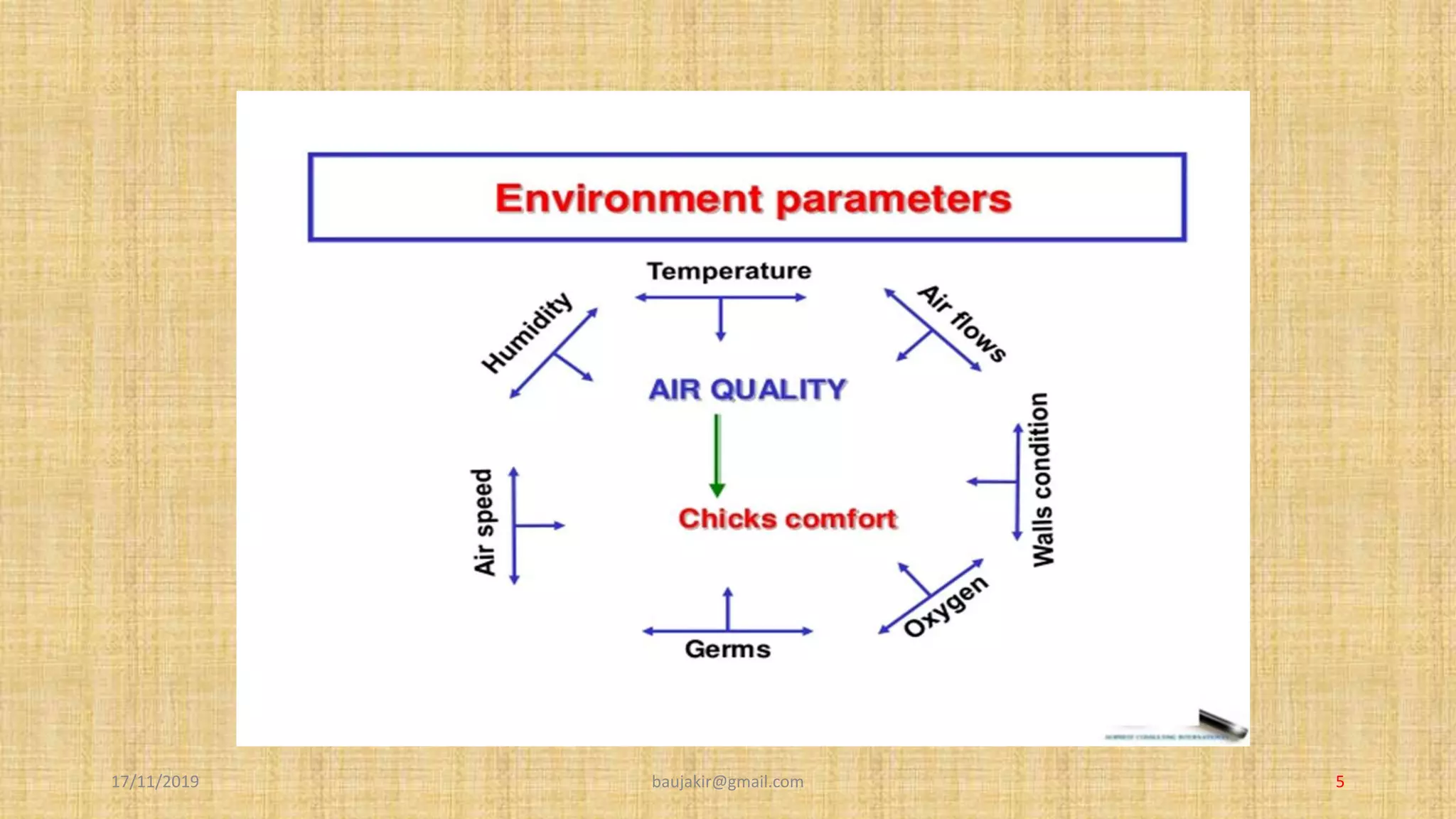 Chick transportation | PPTX