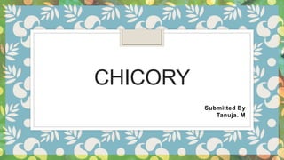 Chicory | PPTX