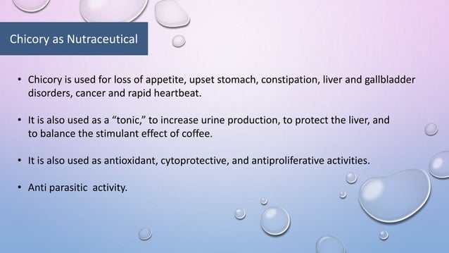 Chicory as health benefit ( Nutraceutical) | PPTX