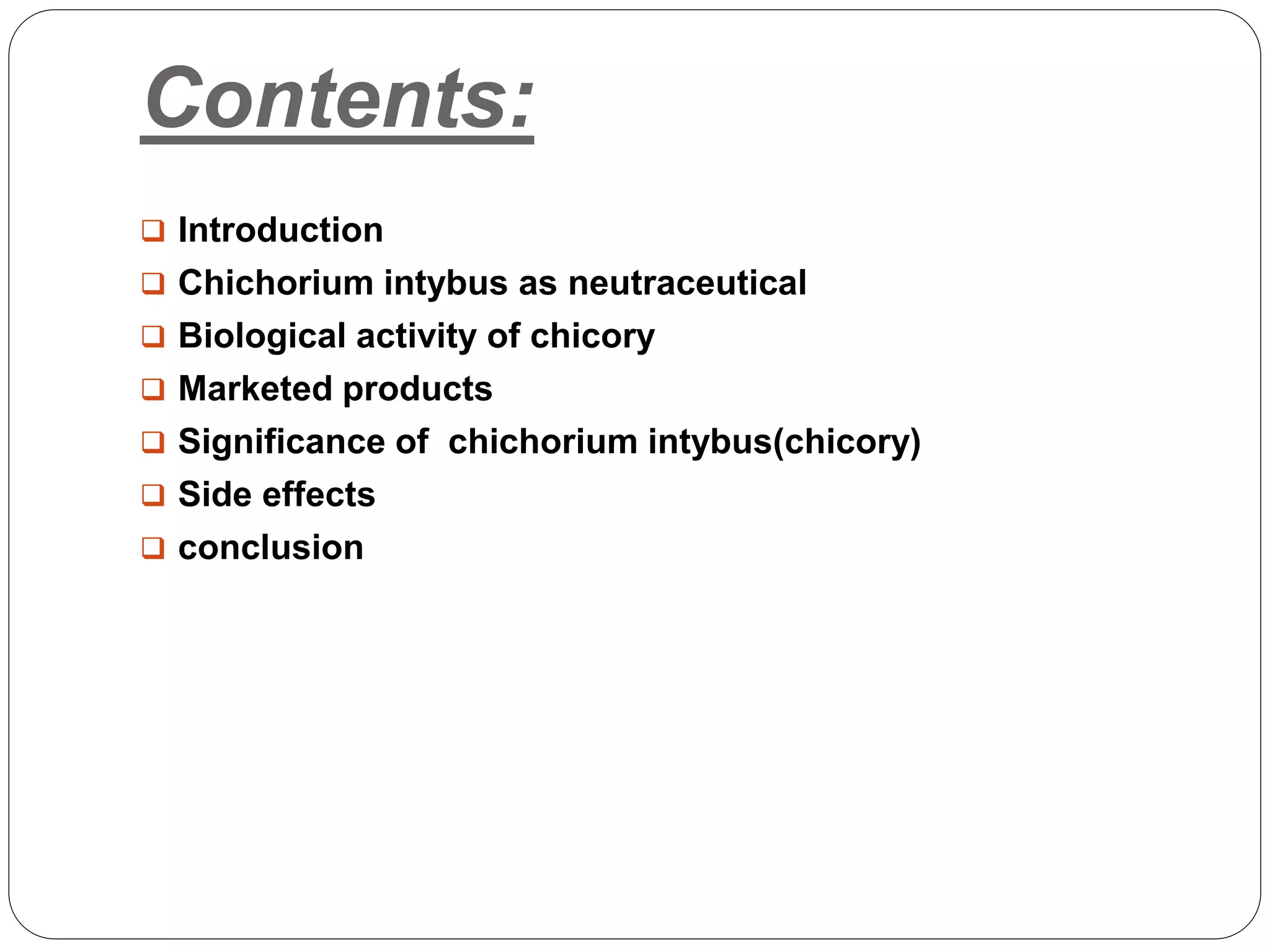 Chicory presentation | PPT