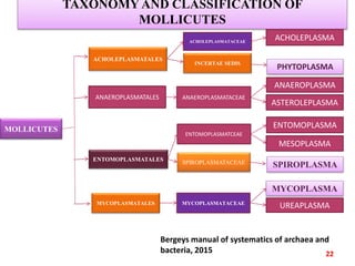 SPIROPLASMS/MOLLICUTES, TAXONOMY, SPREAD AND MANAGEMENT | PPTX