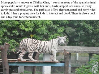 Chidiya ghar indor | PPTX