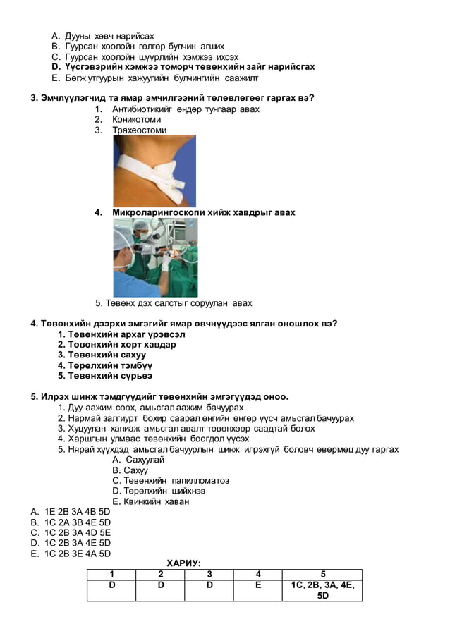 Chih hamar hooloi | DOCX