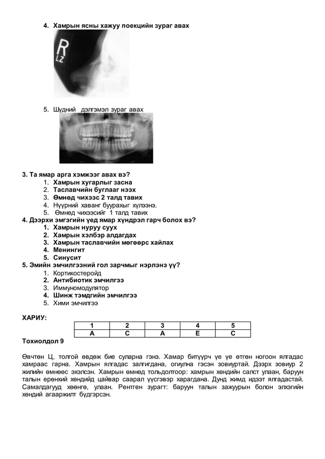 Chih hamar hooloi | DOCX