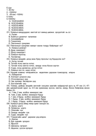 Chih hamar hooloi | DOCX