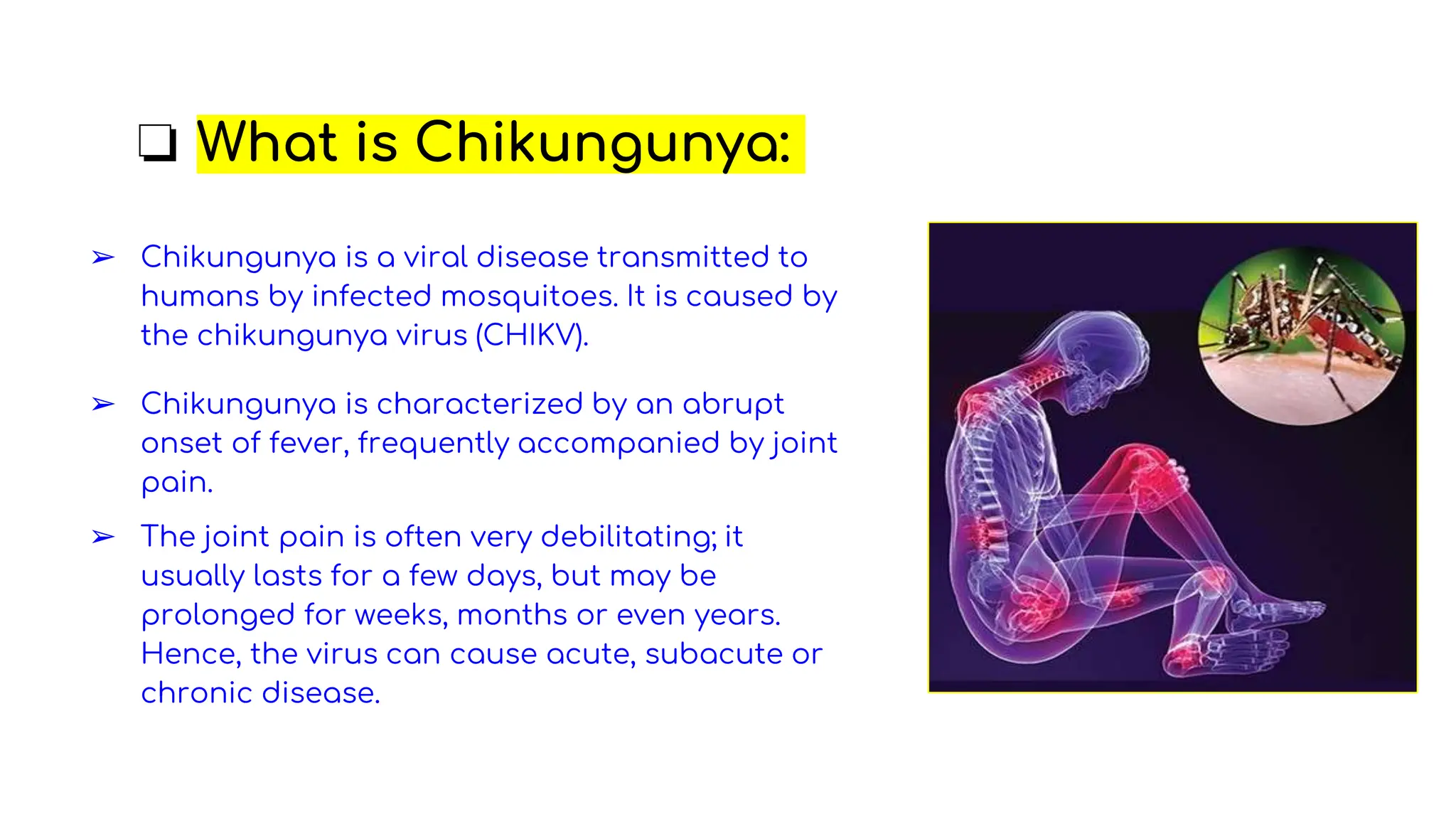 What is Chikungunya disease | PPT