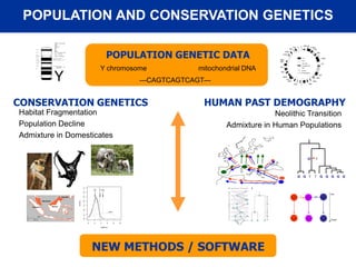 Chikhi grenoble bioinfo_biodiv_juin_2011 | PDF | Genetics | Science