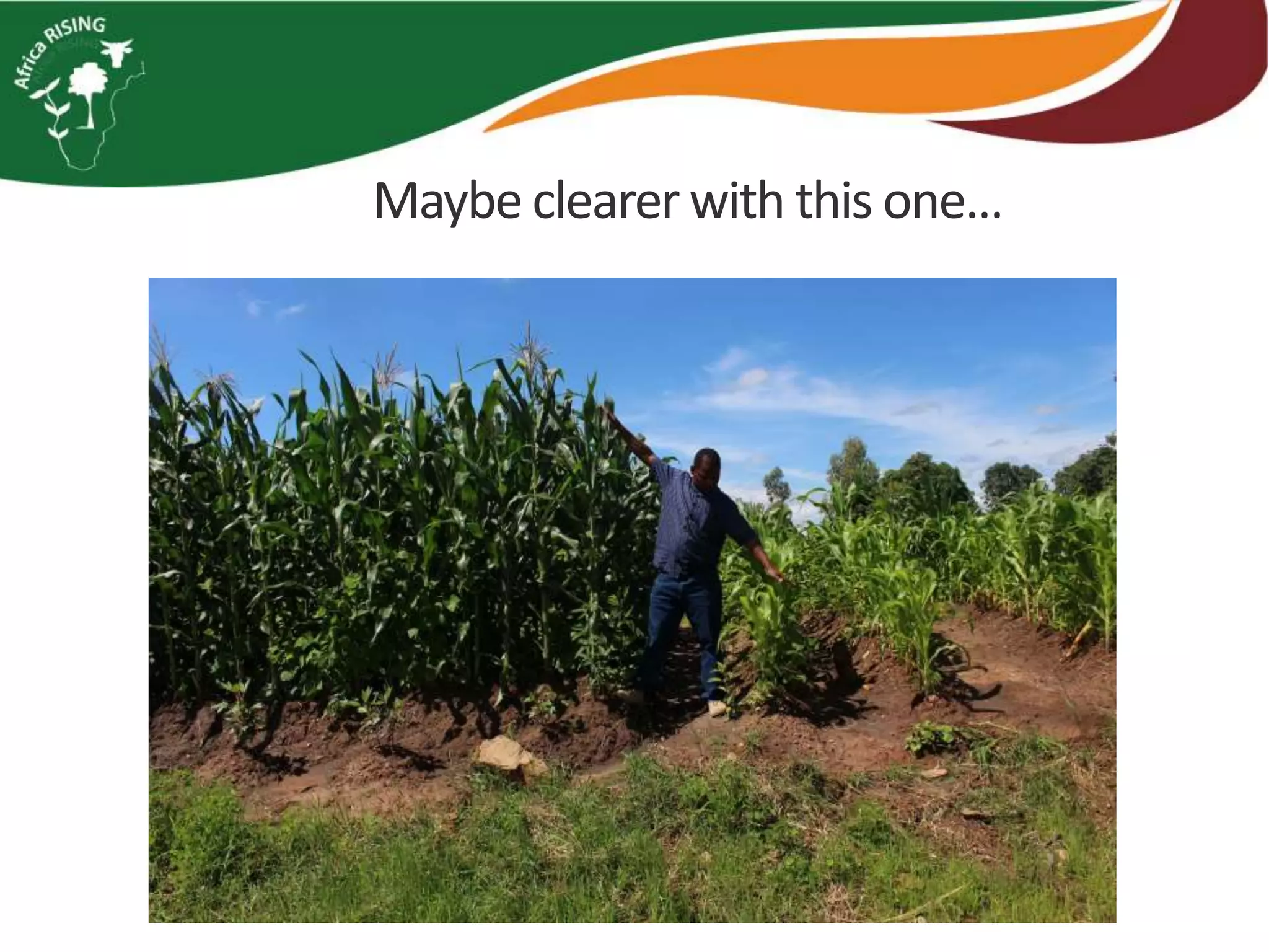 Sustainable Intensification through the doubled-up legume technology | PPTX