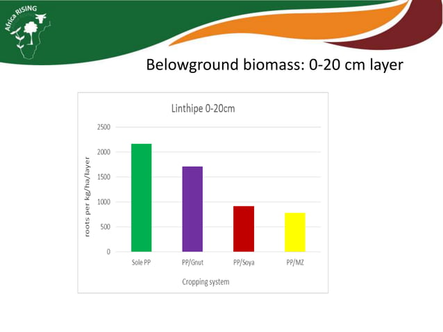Sustainable Intensification through the doubled-up legume technology ...