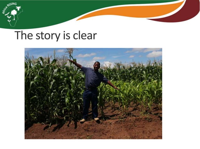 Sustainable Intensification through the doubled-up legume technology ...