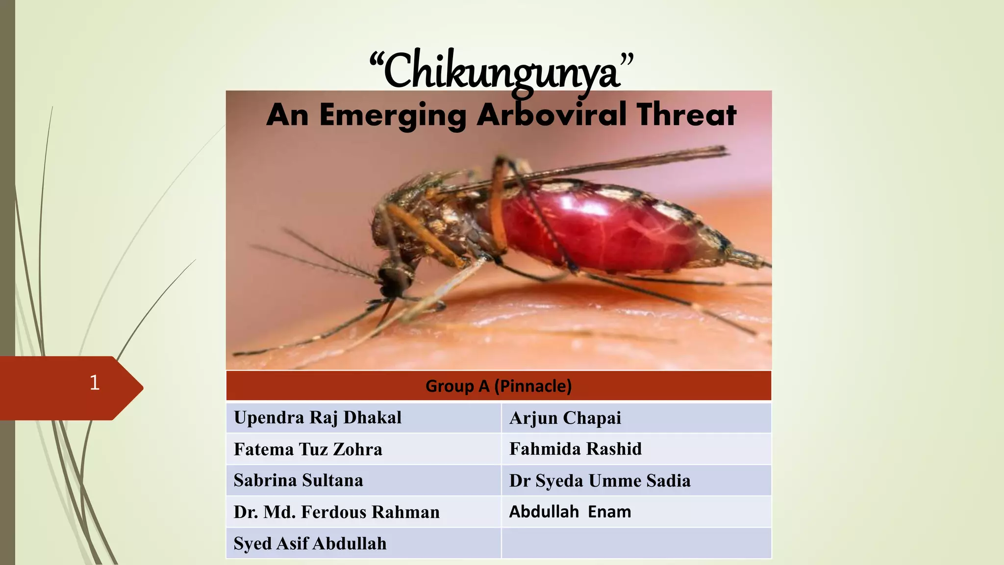 Chikungunya | PPTX