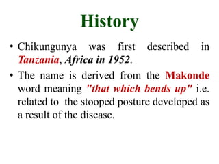 Chikungunya | PPTX