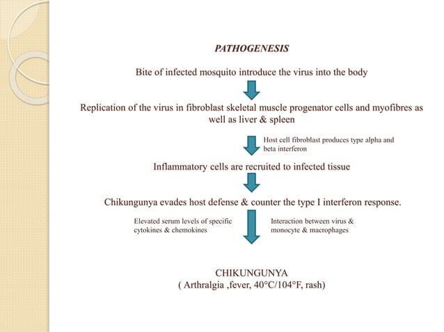 CHIKUNGUNYA1.pptx | Infectious Diseases | Diseases and Conditions