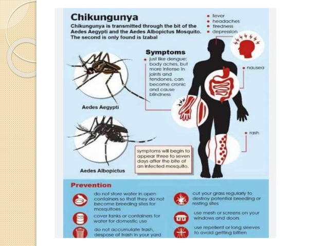 CHIKUNGUNYA1.pptx | Infectious Diseases | Diseases and Conditions