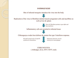 CHIKUNGUNYA1.pptx