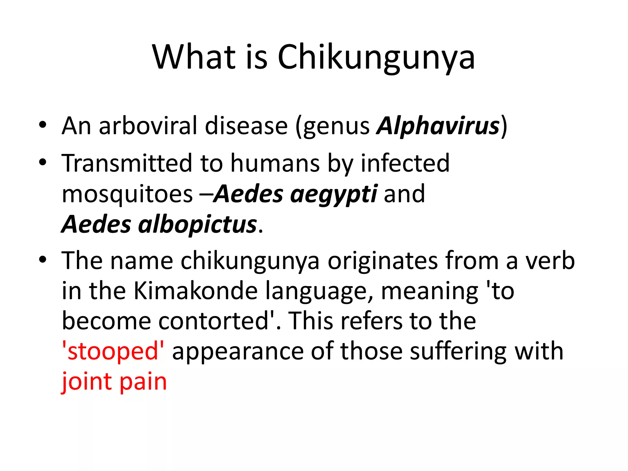 Dengue E Chikungunya Bruna Fais 3a Ppt