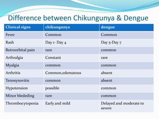 Chikungunya fever by capt sayeed | PPT