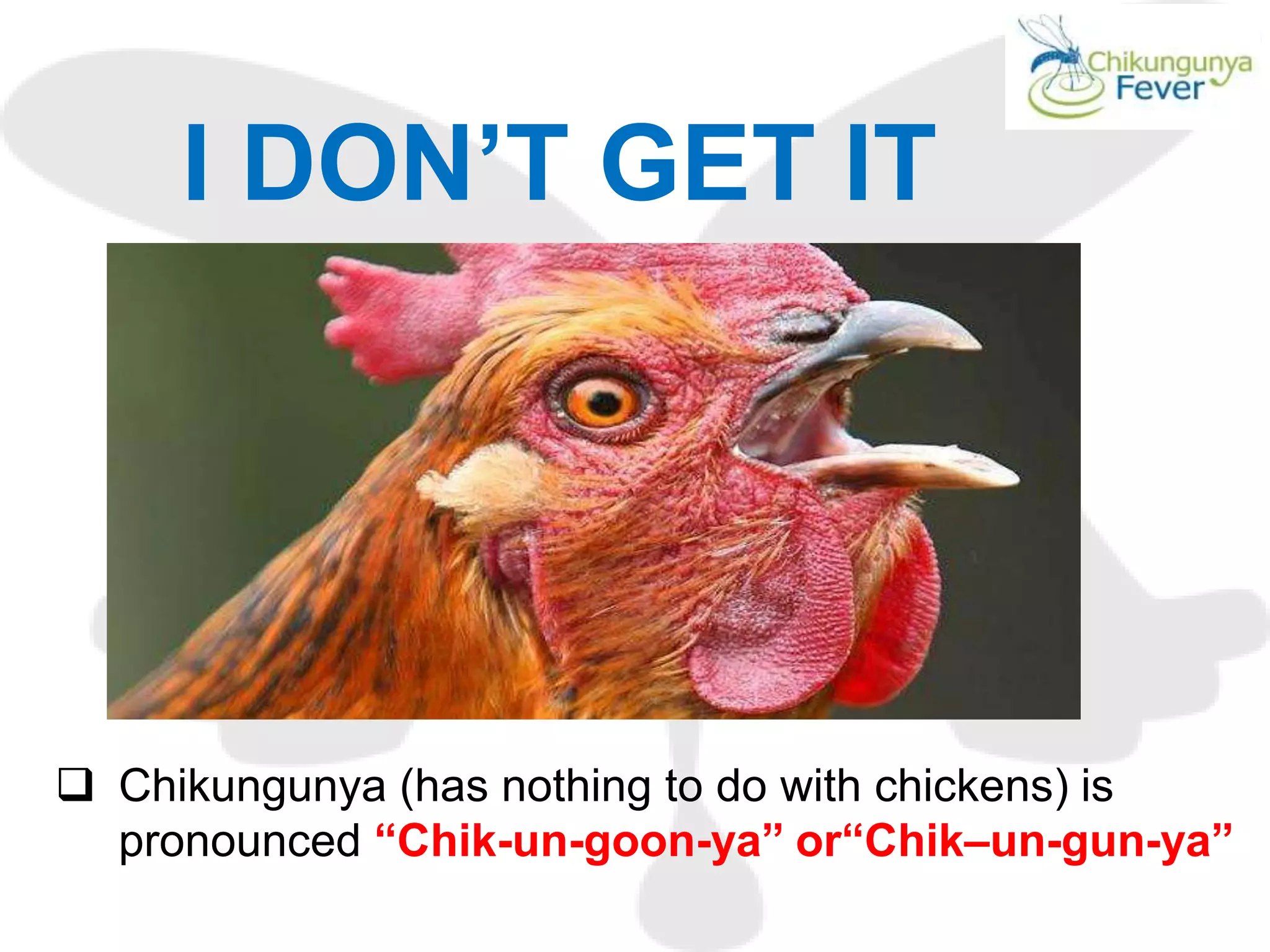 Chikungunya in Bangladesh | PPTX