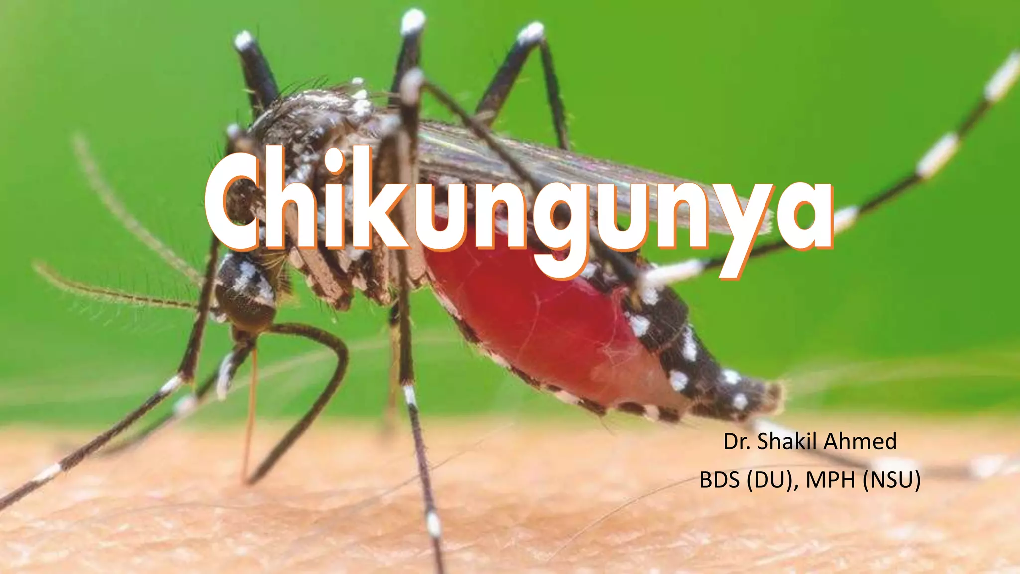 Chikungunya | PPTX