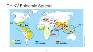 Evolutionary traits in Chikungunya virus untranslated regions | PPT