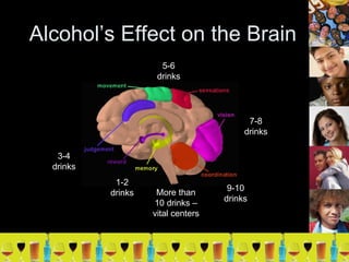 Alcohol and Adolescent Development | PPT