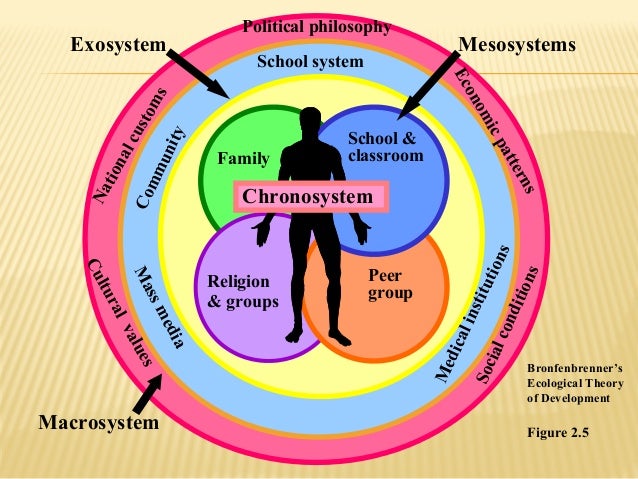 Child development-theorists
