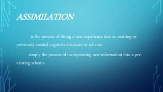 Piaget's Cognitive Development Theory | PPTX
