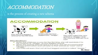 Piaget's Cognitive Development Theory | PPTX