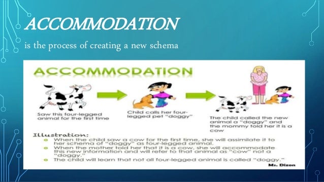 Piaget's Cognitive Development Theory