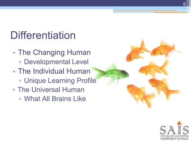 Child and adolescent development | PPTX