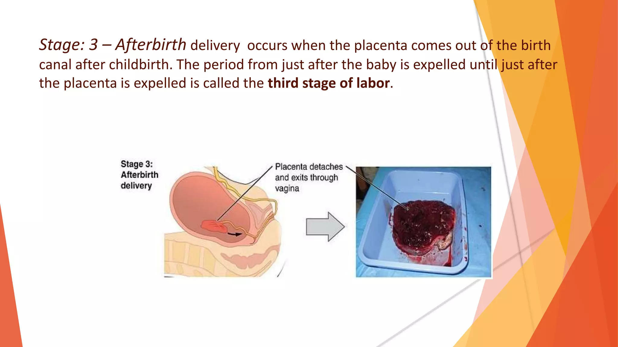 Childbirth - a process | PPTX