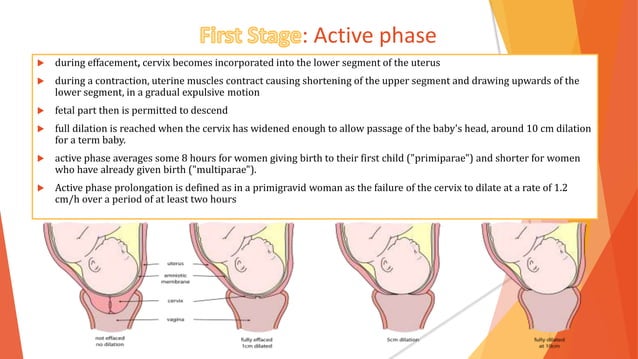 Childbirth - a process | PPTX