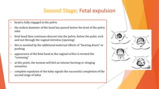 Childbirth - a process | PPTX