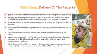 Childbirth - a process | PPTX