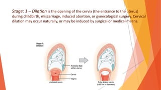 Childbirth - a process | PPTX