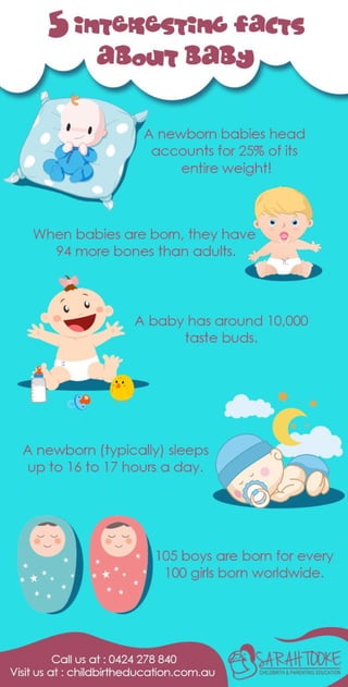 5 Interesting Facts About Baby | PDF