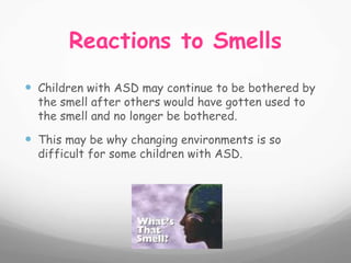 Child care training series module five updated sensory | PPT