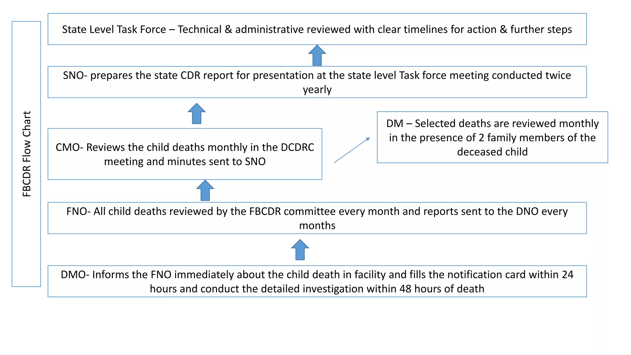 Child Death Review.pptx