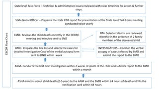 Child Death Review.pptx | Birth | Personal Celebrations & Life Events