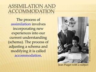 Child development | PPTX