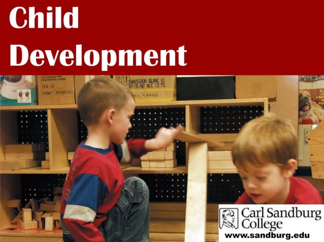 Child Development | PPSX | Daycare and Pre-School | Parenting