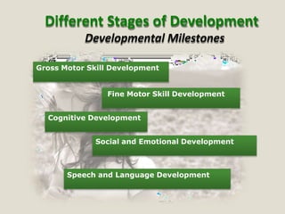 child development.pptx