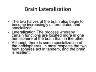 Child development, chapter 8, paduano | PPT