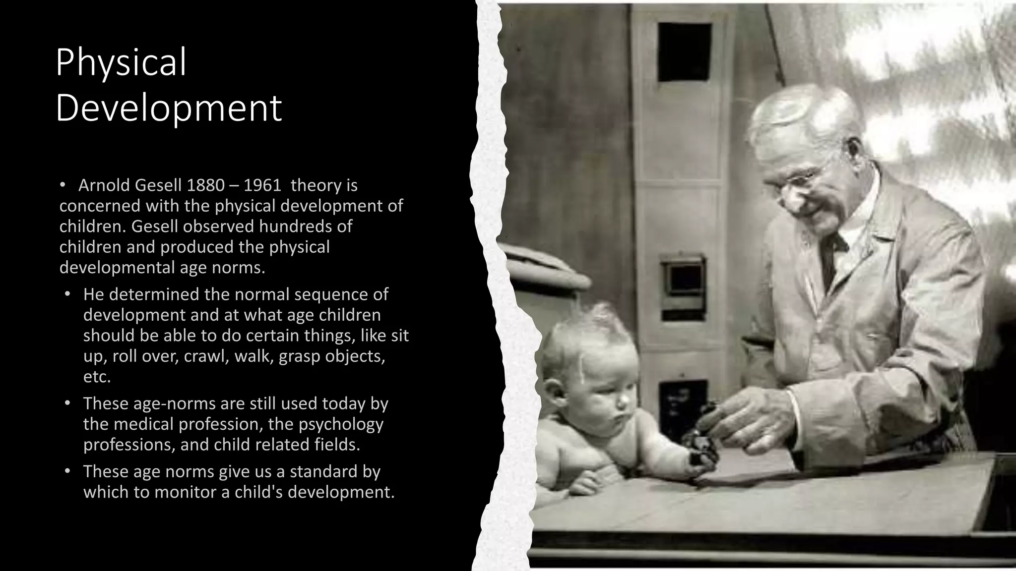 Child Development Theorists | PPTX