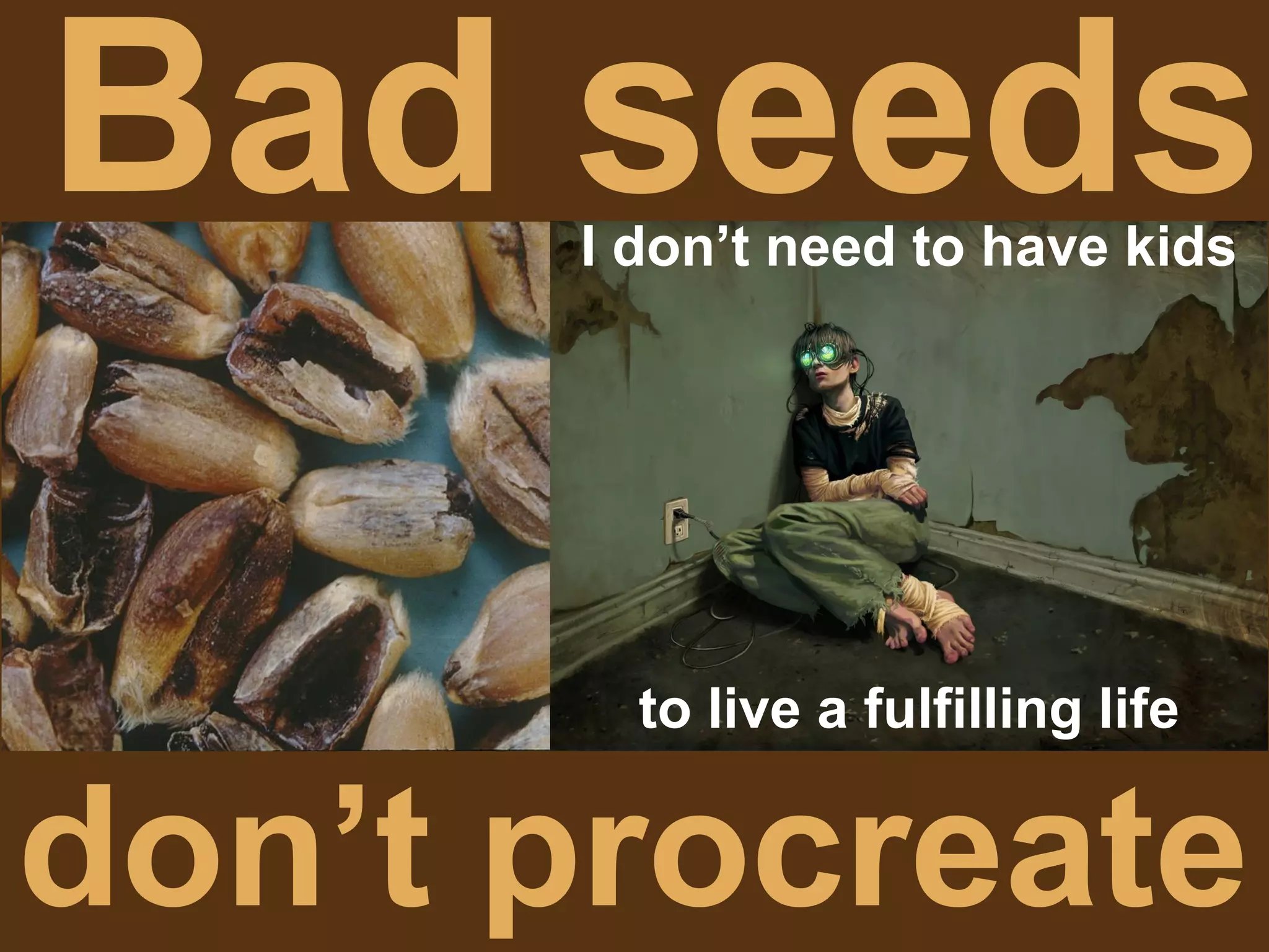 Childfree me not life values: bad seeds do not procreate | PDF