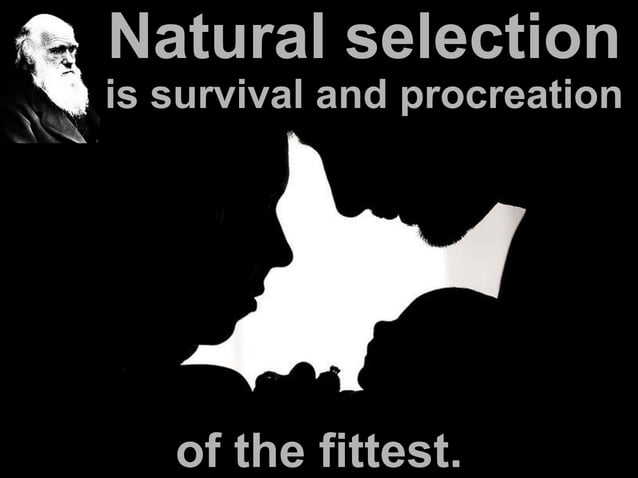 Pronatalist life values: Natural selection is survival and procreation ...