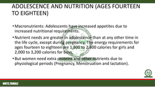 NUTRITION THROUGHOUT THE LIFE CYCLE CHILDHOOD -AGEING | PDF